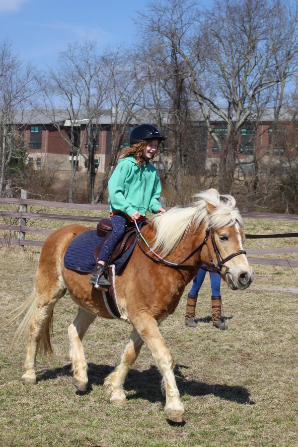 Merrimac Farm – Linkous-Kipps Historical House and Merrimac Farm